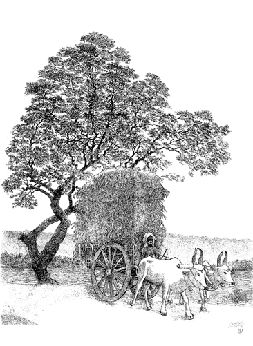 The Inner Vision gets recognised with a Padmashri « Madras Musings | We ...